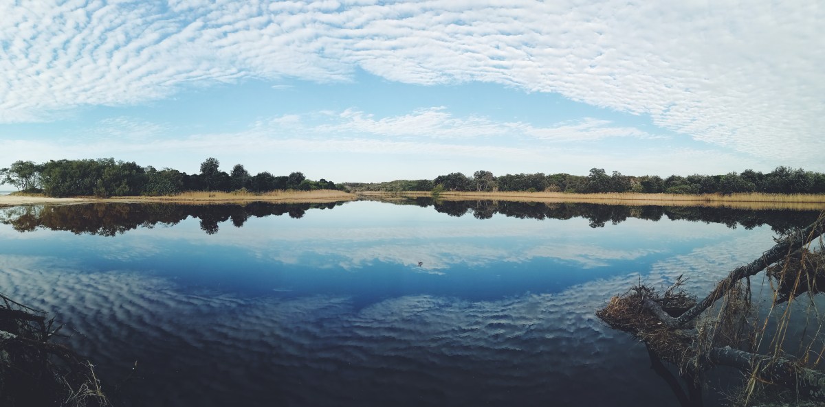 FEES – Billy Gannon